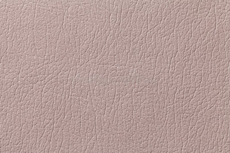 Beige Leather Texture Background with Pattern, Closeup Stock Photo ...