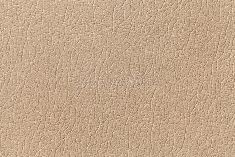 Beige Leather Texture Background. Closeup Photo. Reptile Skin. Stock ...