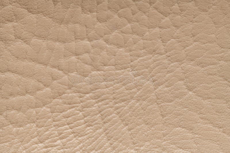 Beige Artificial Leather with Large Texture. Artificial Skin. Close-up ...