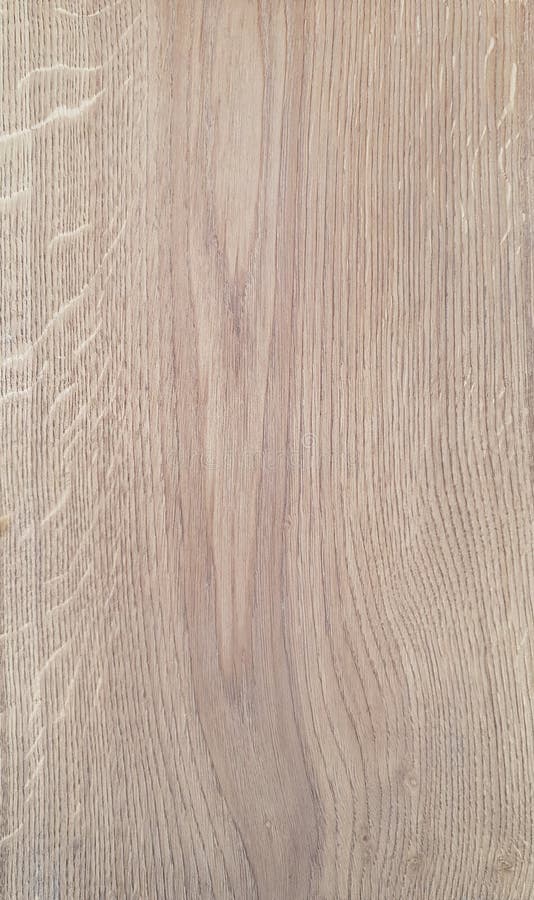 Beige Oak Texture for Design Stock Image - Image of background ...