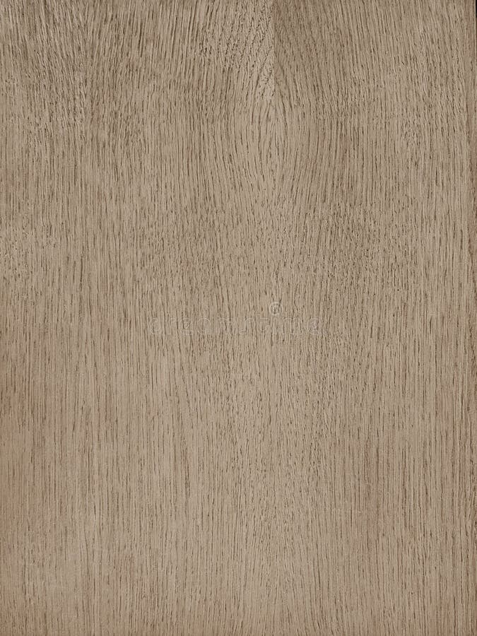 Beige Oak Texture for Design, Rough Structure Stock Image - Image of ...
