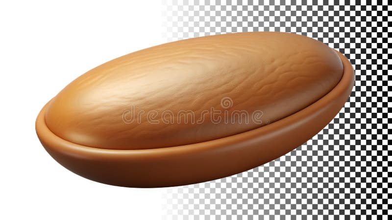 Beige Oval Shape, Simple and Neutral Design Element Png Transparent ...