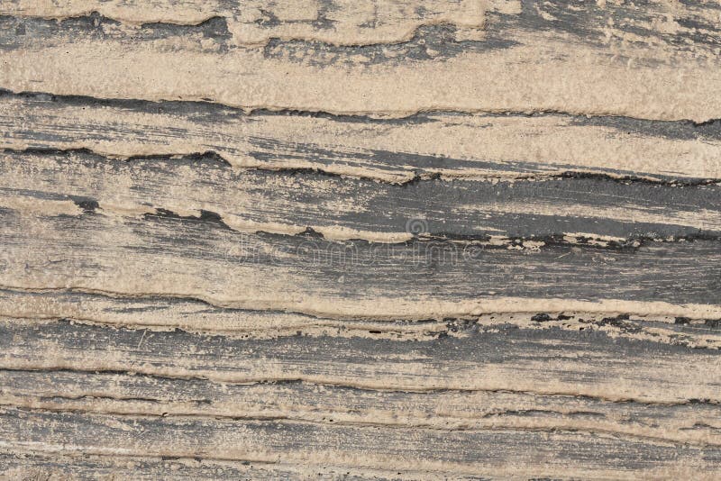 Beige Painted Old Wooden Board Texture Stock Image - Image of ...