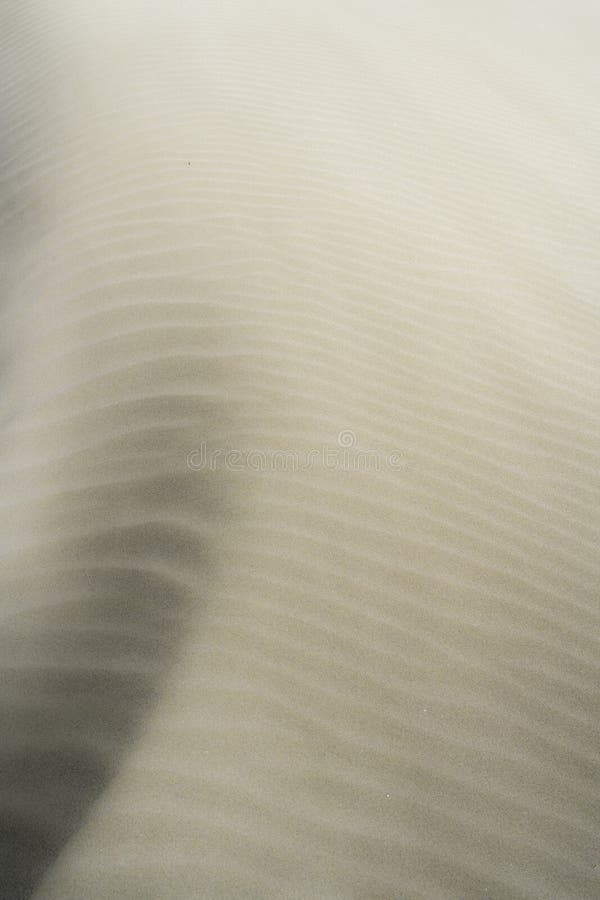Beige sand wall texture stock photo. Image of detail - 33026158