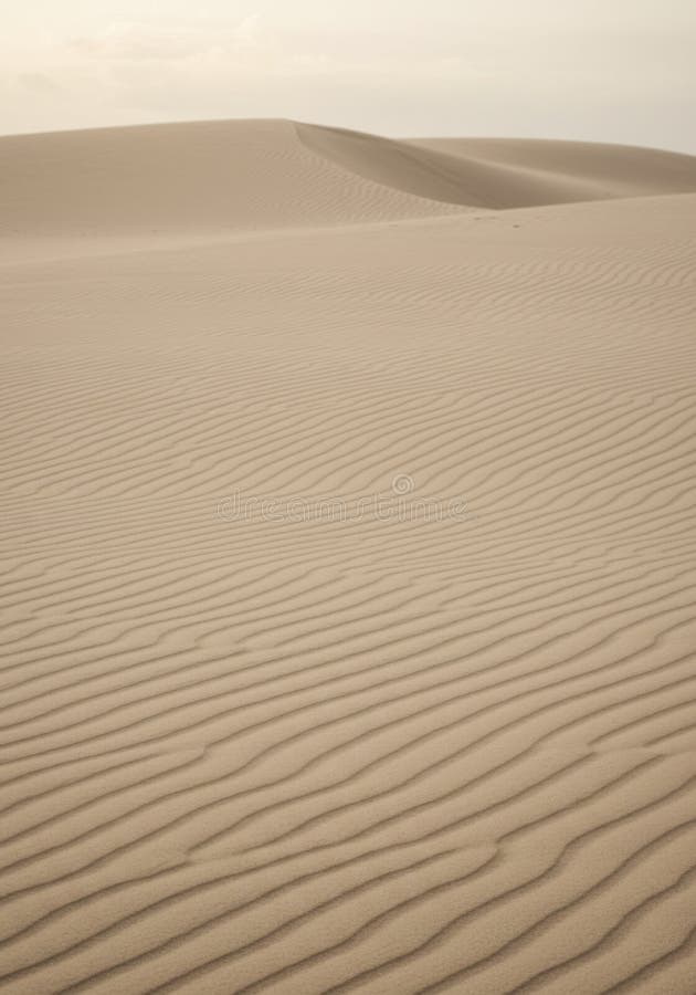 Beige Sand Dunes in Desert Landscape Stock Illustration - Illustration ...