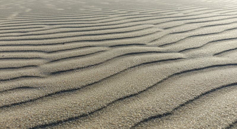 Beige Sand Dunes Texture Under Sunlight Stock Illustration ...