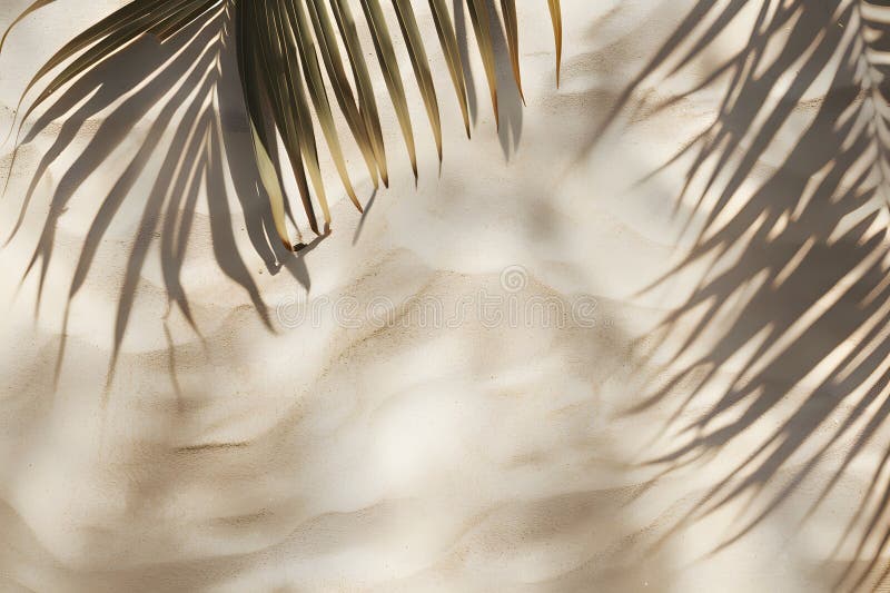 Beige Sand Texture with Palm Leaf Shadow from Top View Stock ...