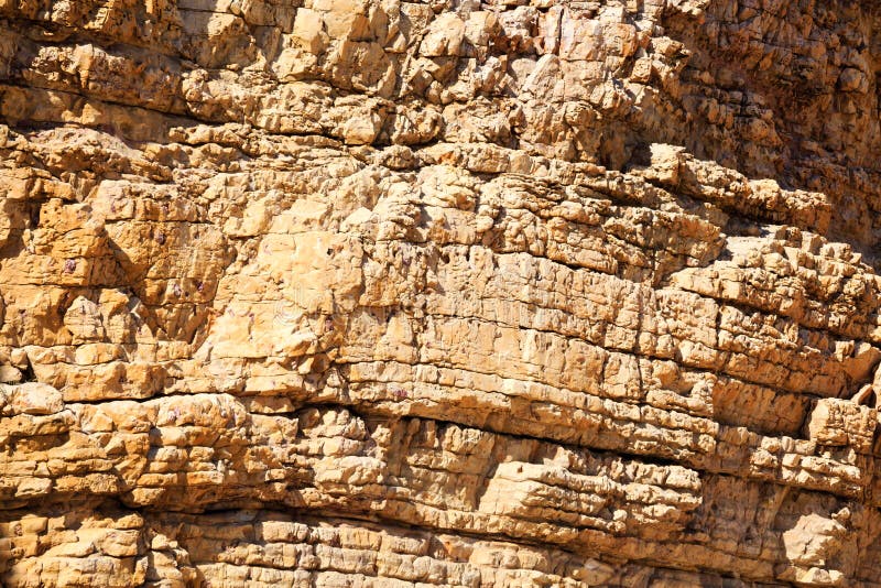 Sandstone Structure stock photo. Image of earthen, root - 31018664