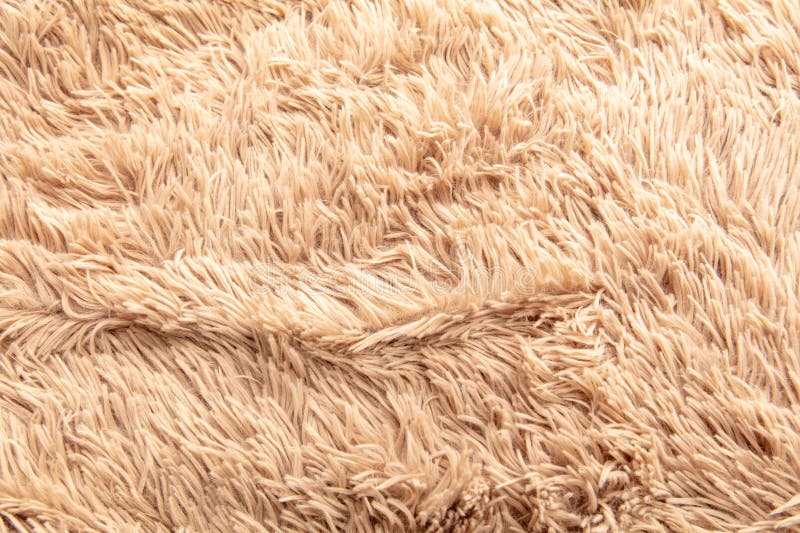 Beige Shag Carpet As an Abstract Background. Texture Stock Photo ...
