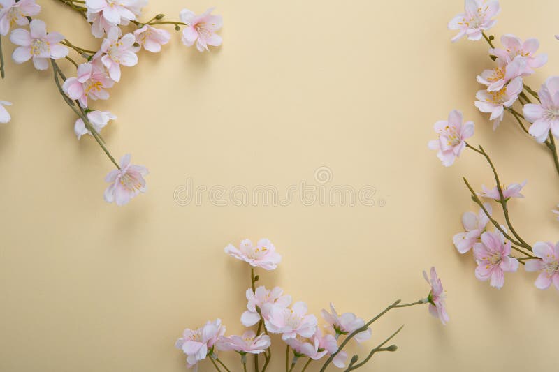 Beige Spring Paper Background and Pink Flowers Stock Image - Image of ...