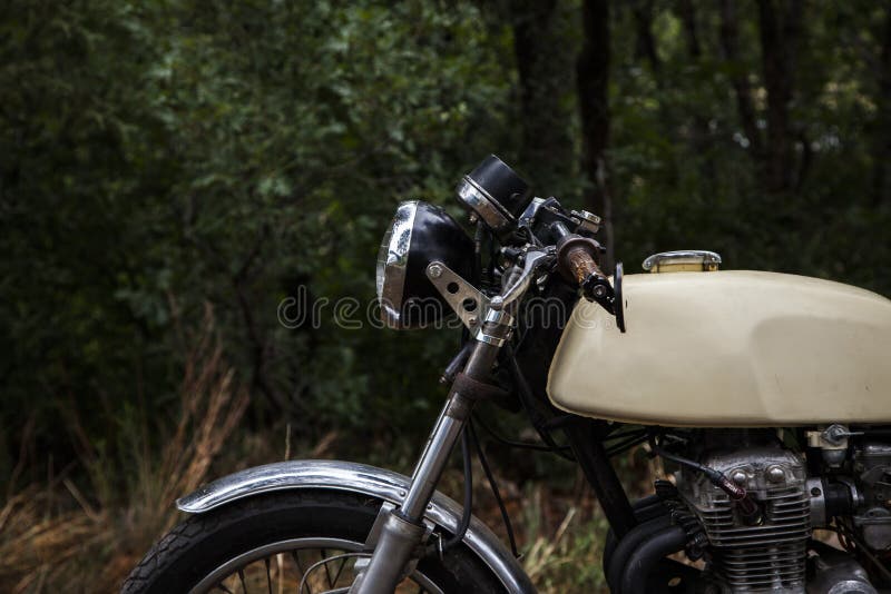 Beige Standard Motorcycle Picture. Image: 119467419