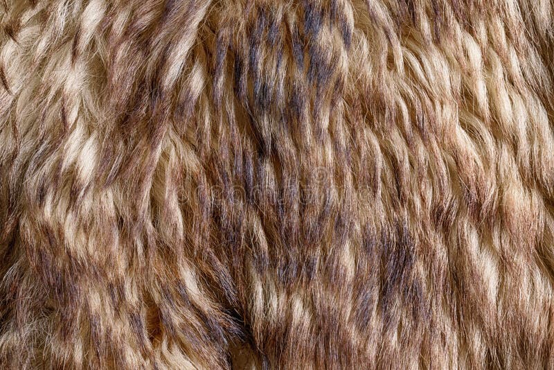 Beige Straight Fur Texture and Background Stock Image - Image of furry ...