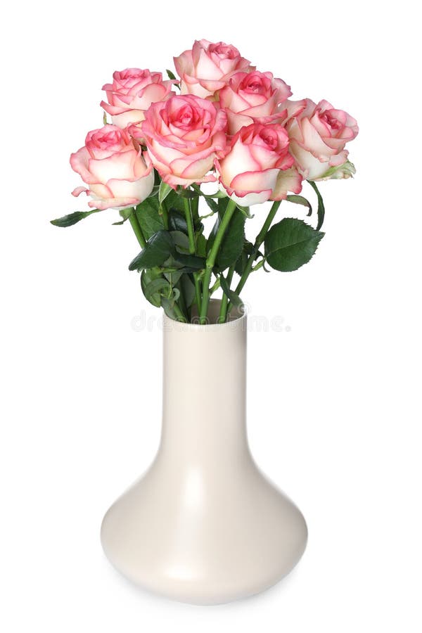 Beige Vase with Beautiful Pink Roses Isolated on White Stock Image ...