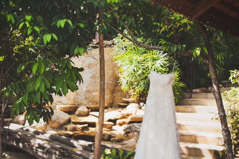 Beige Wedding Dress Hanging on a Tree Stock Photo - Image of fashion ...