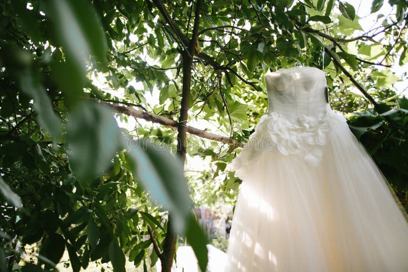 Beige Wedding Dress Hanging on a Tree Stock Photo - Image of lace ...