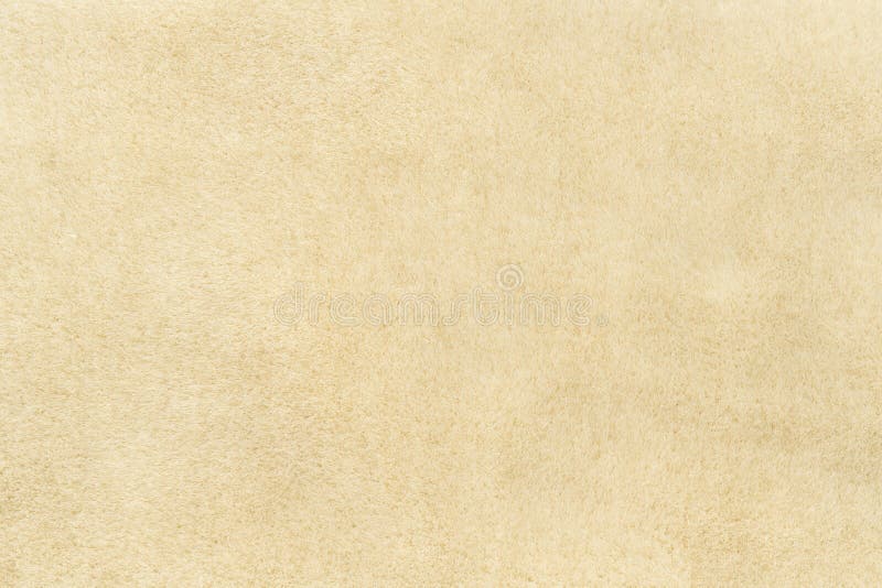 Beige Wool Seamless Texture Background. Texture with Short Factory Wool ...