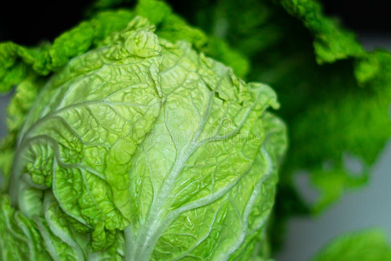 Beijing cabbage close-up stock image. Image of healthy - 182376113
