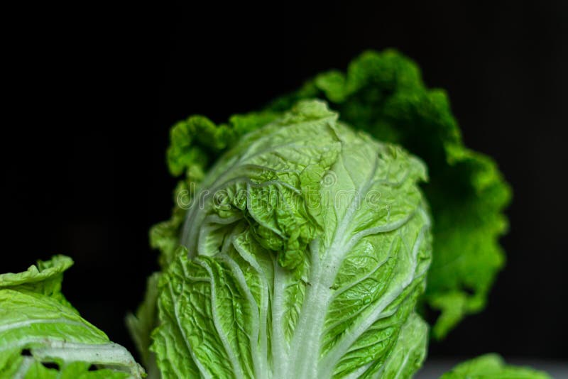 Beijing cabbage close-up stock image. Image of healthy - 182376113
