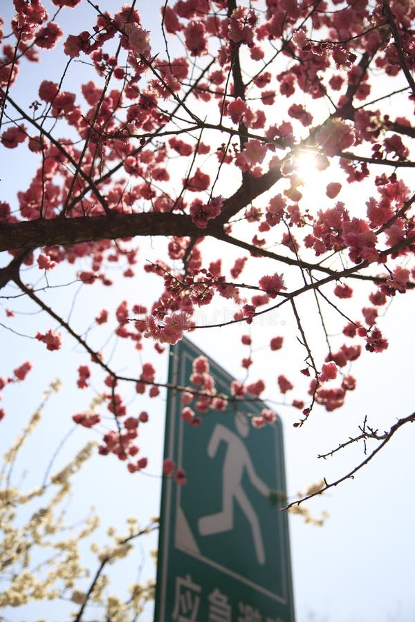 Beijing Huangchenggen Ruins Park Stock Photos - Free & Royalty-Free ...