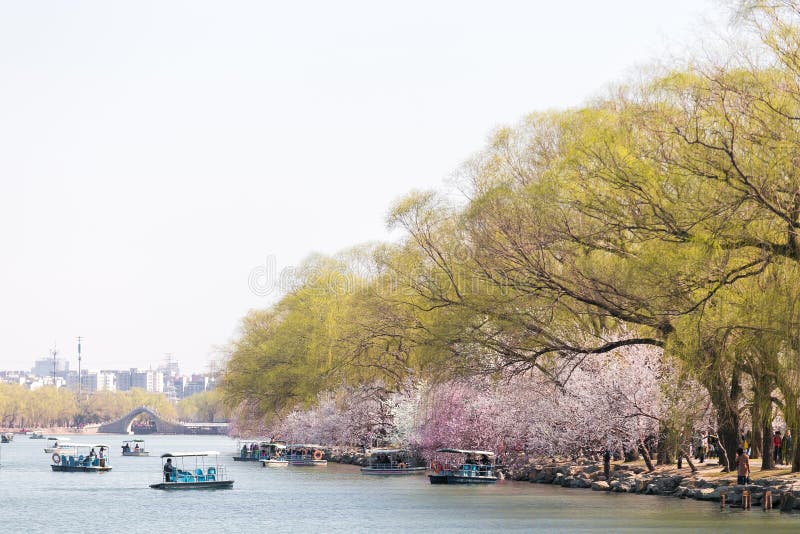 Beijing Summer Palace Spring Scenery Editorial Stock Photo - Image of ...
