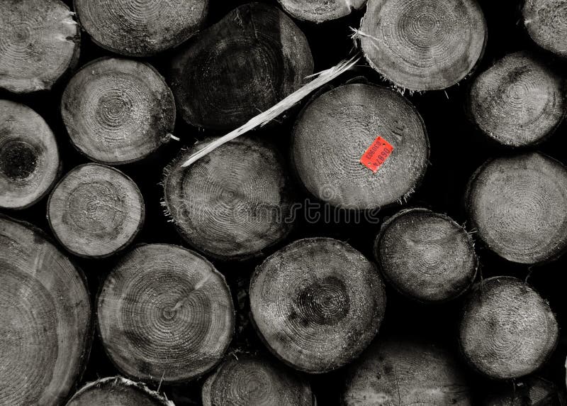 Being different stock image. Image of sticker, culture - 2556145