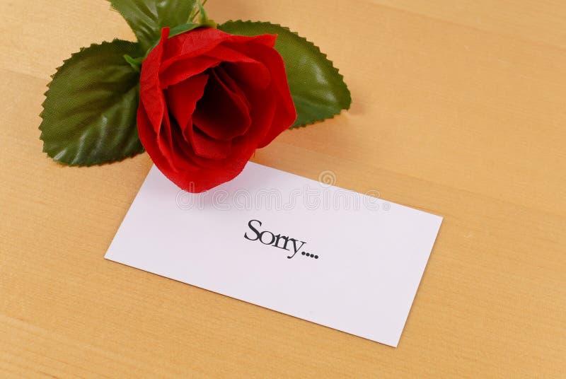 33,335 Sorry Stock Photos - Free & Royalty-Free Stock Photos from ...