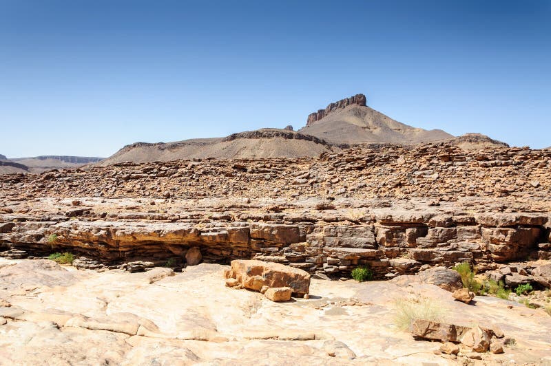 Beira-rio Do Rio De Pedra, Hamada Du Draa (Marrocos) Foto de Stock ...
