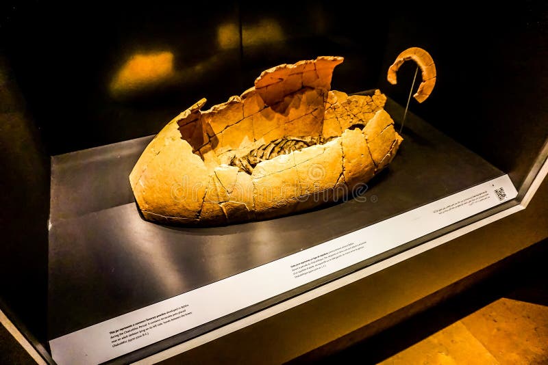 Beirut National Museum 28 editorial image. Image of historic - 135645935