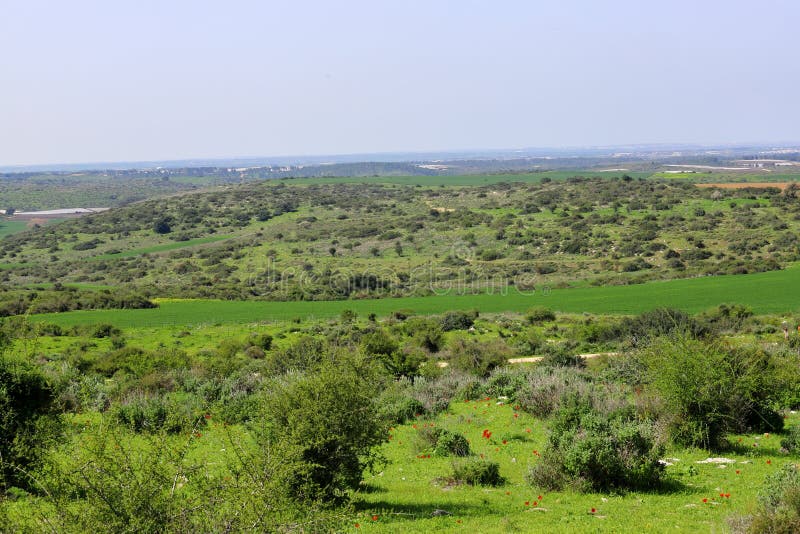 Beit Guvrin National Park. Israel. Stock Photo - Image of vegetation ...