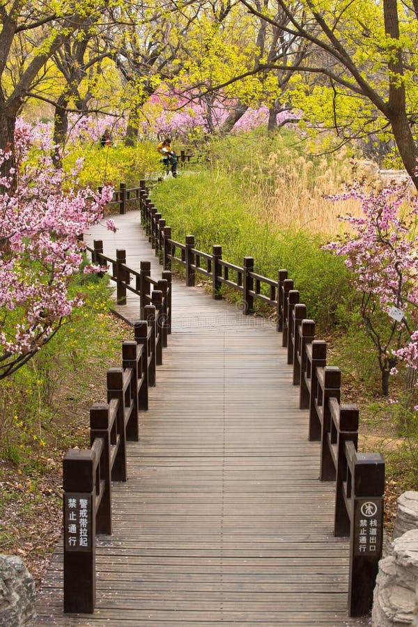 Bejing Botanical Gardens in Spring Stock Photo - Image of scenic ...