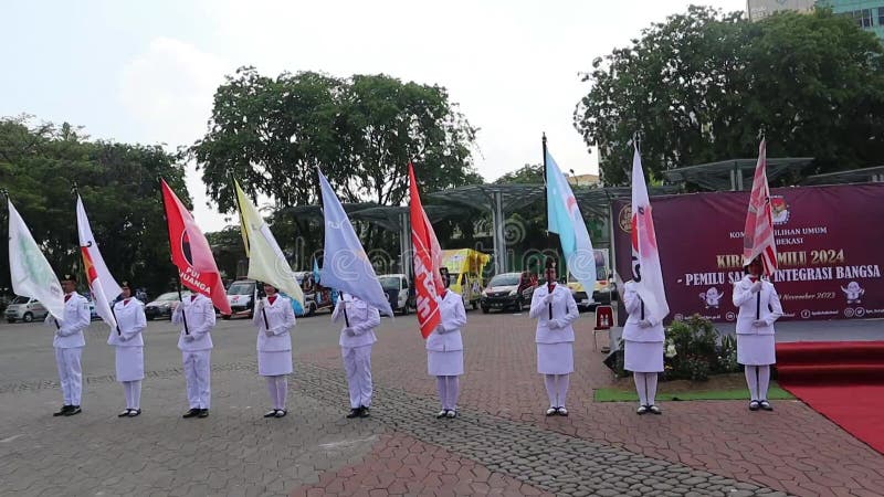 Flag Bearer Troops Standing in the Field Stock Video - Video of bearer ...