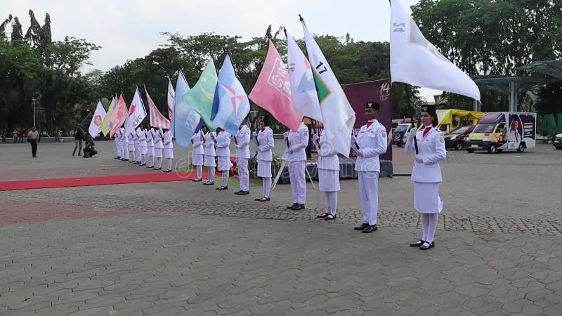 Flag Bearer Troops Standing in the Field Stock Footage - Video of ...