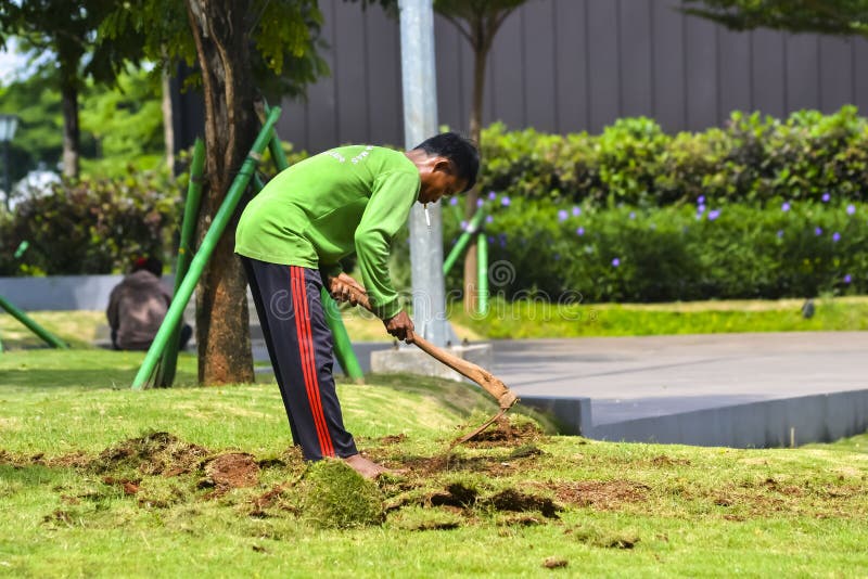 A Gardener is Hoeing the Ground at the Resident Park. Editorial Photo ...