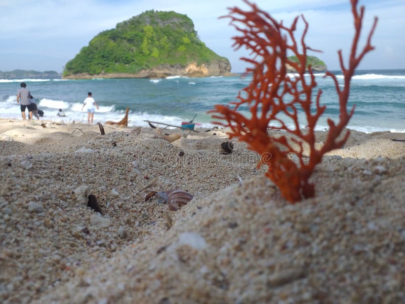 Bekung Beach Stock Photos - Free & Royalty-Free Stock Photos from ...