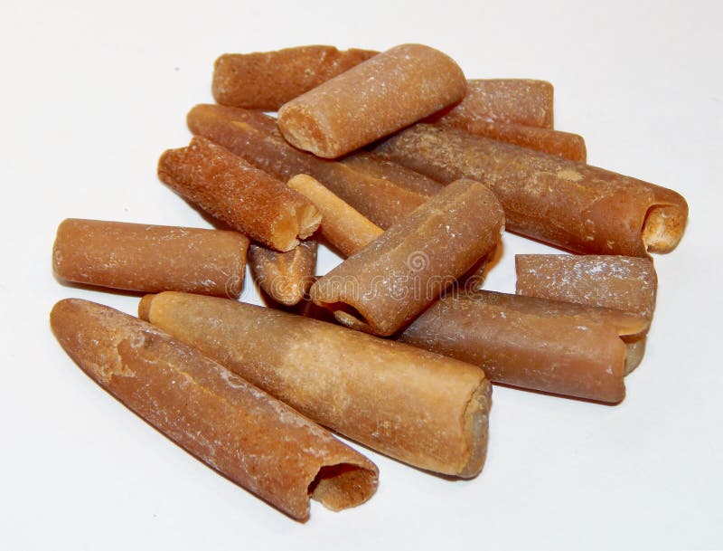 Belemnite stock image. Image of cuttlefish, ancient, isolated - 82727475