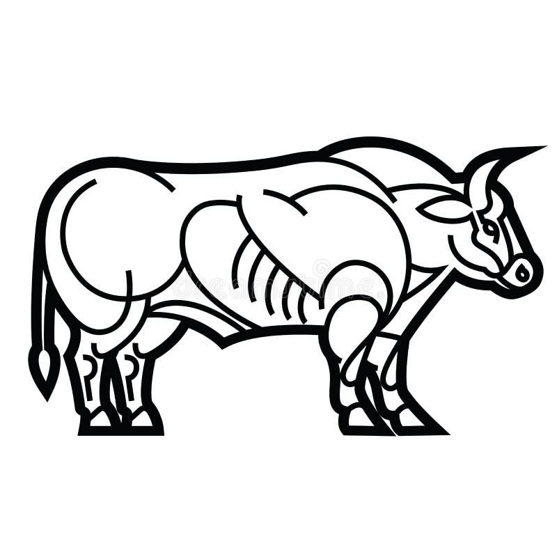 Belgian Blue bull stock vector. Illustration of album - 95485218