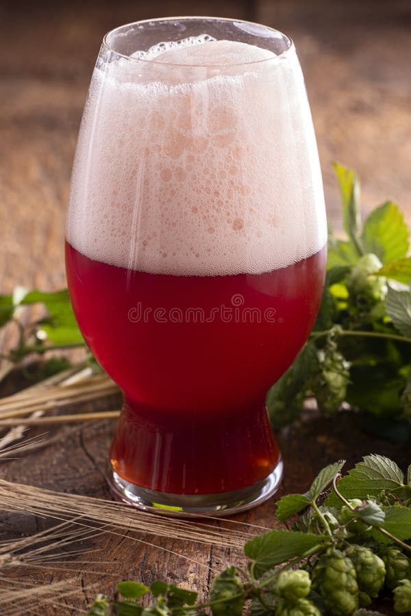 Belgian cherry beer stock image. Image of beer, alcohol - 257172775