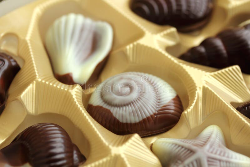 Beautiful Shell Shaped Chocolates Stock Photos - Free & Royalty-Free ...