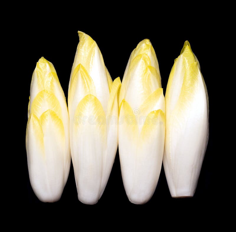Belgian Endive, Raw Fresh Witloof Chicory Buds, on a Black Background ...