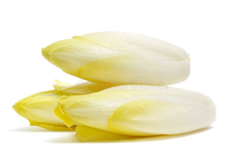 Endive stock photo. Image of white, cultivated, belgian - 461378