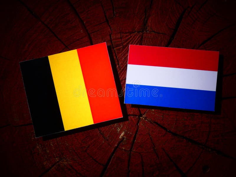 Belgian Flag with Dutch Flag on a Tree Stump Isolated Stock Image ...
