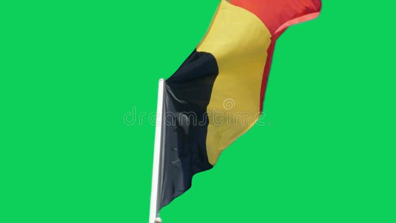 The Belgian Flag Flies in the Steadily of the Wind Stock Footage ...