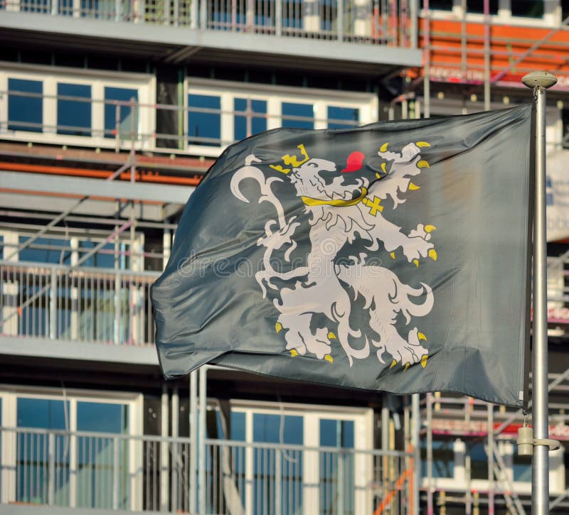 Belgian lion flag stock photo. Image of lion, architecture - 64320972