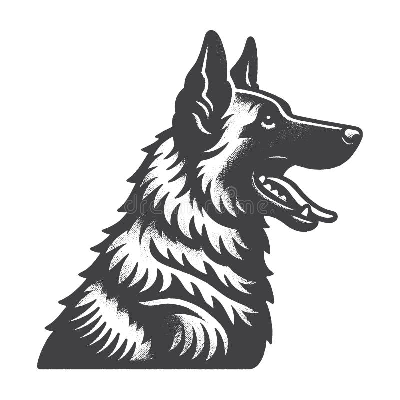 Belgian Malinois Barking in Vintage Guard Dog Style. Stock Vector ...