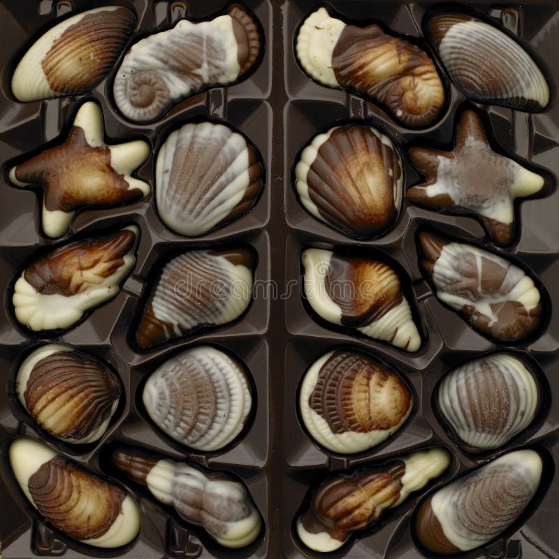 Belgian pralines stock photo. Image of belgian, inside - 11378672