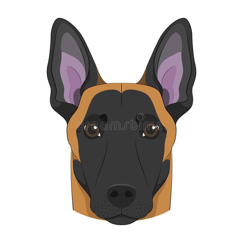 Malinois Stock Illustrations – 187 Malinois Stock Illustrations ...