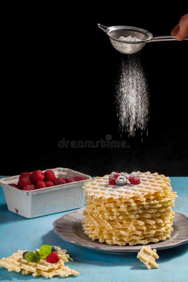 Belgische Wafels Met Verse Bes Stock Foto - Image of munt, vrucht: 84734830