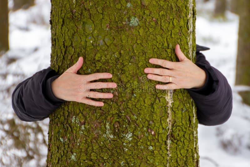 Belgium, Silvotherapy, Hands Around a Tree Editorial Image - Image of ...