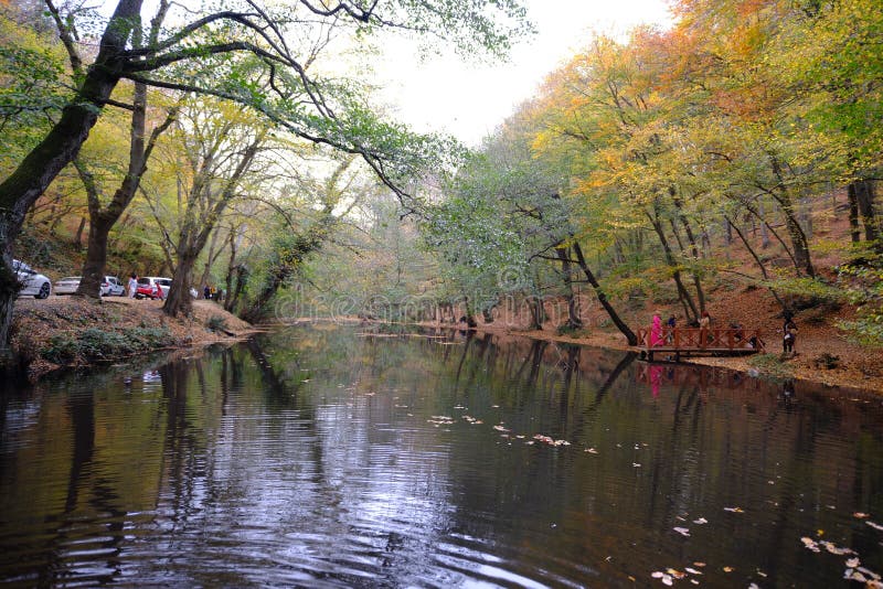 Belgrad Forest, Ä°stanbul Turkey Editorial Photography - Image of ...