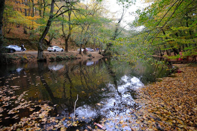 Belgrad Forest, Ä°stanbul Turkey Editorial Image - Image of road ...